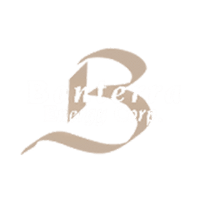 Subsurface Dynamics Reservoir Engineering